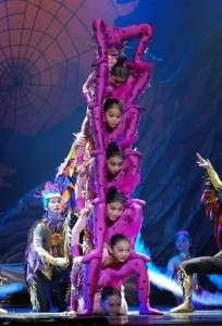 15 Best Forms Of Acrobatics