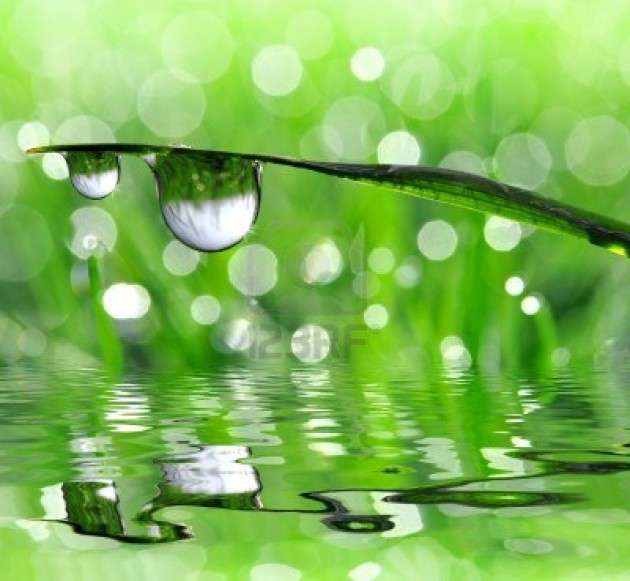 30 Amazing Dew Drop Wallpapers