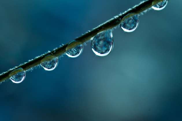 30 Amazing Dew Drop Wallpapers
