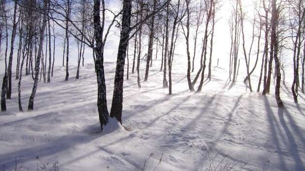30 Snow Wallpapers
